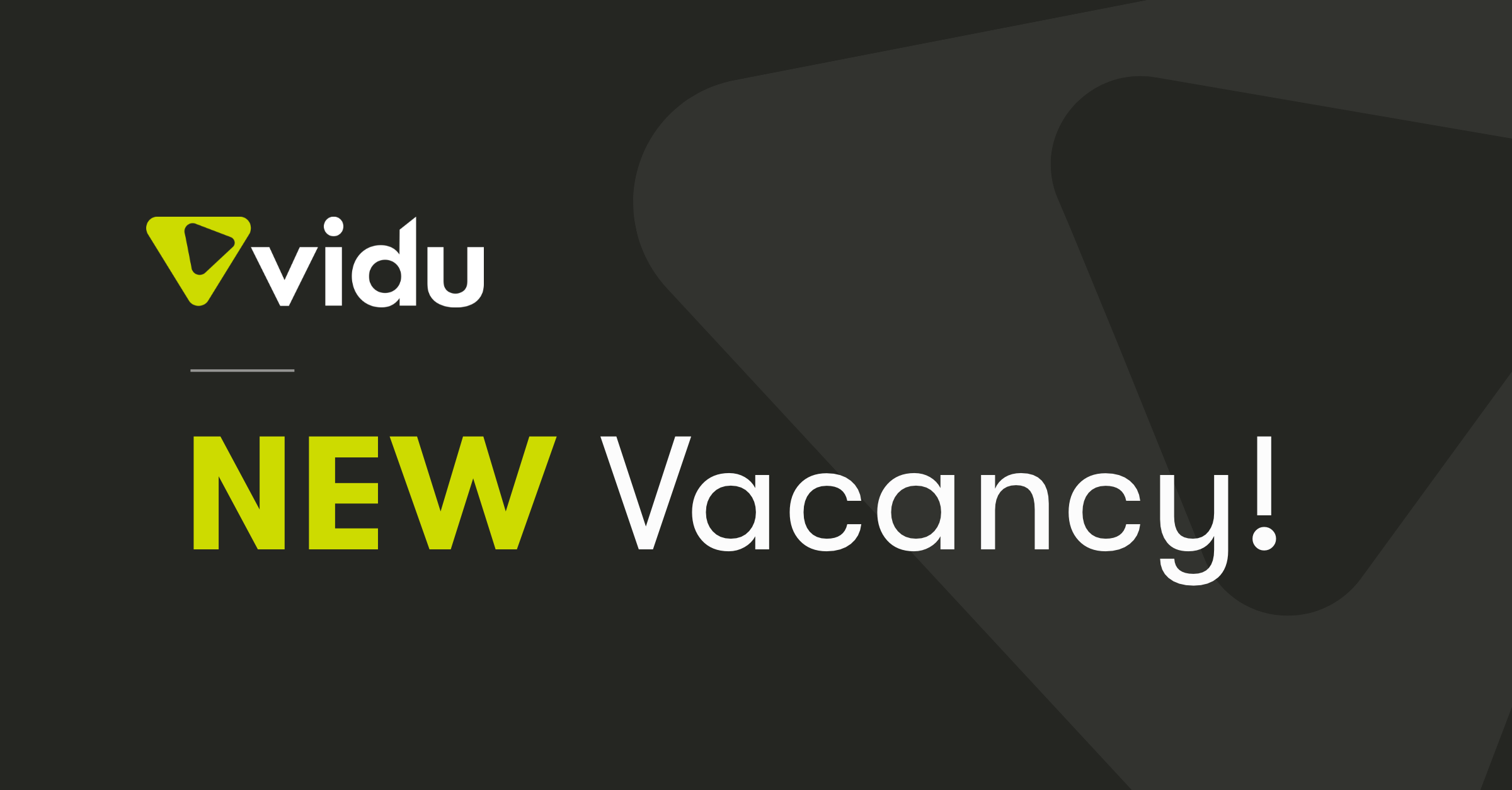 Business Development Manager – eCommerce Distribution – Hybrid - Vidu Group